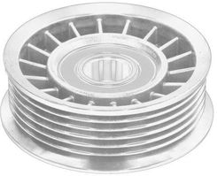 Cnh Rolka Napinacza Paska Wieloklinowego 84412927-Cnh - Ceny i opinie ...