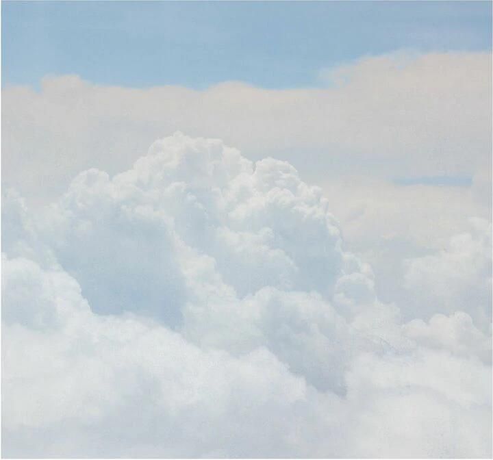 Jeger Mural Clouds Chmury 300x280 - Opinie i ceny na Ceneo.pl