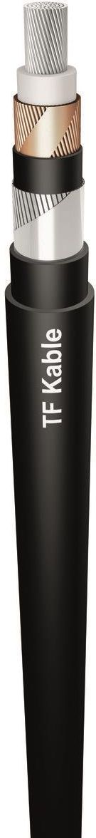 Kabel energetyczny YAKYFpy 1x500 RMC/50 3,6/6kV 1mb - Opinie i ceny na ...