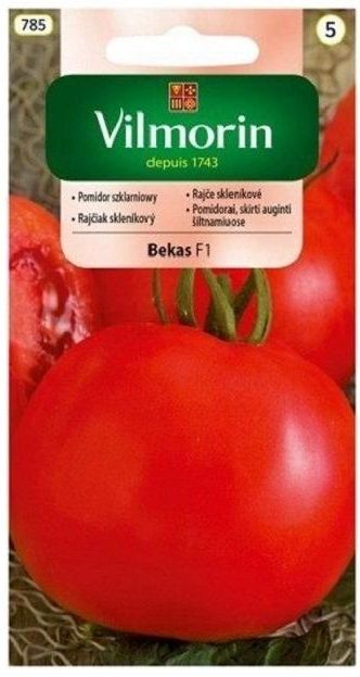 Vilmorin Pomidor Bekas F1 0,2g - Ceny i opinie - Ceneo.pl
