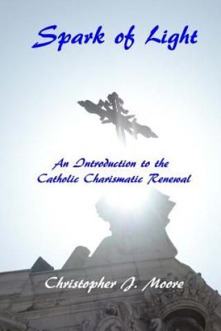 Spark of Light: An Introduction to the Catholic Charismatic Renewal ...
