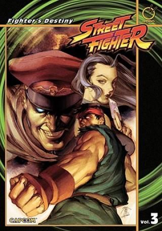 Street Fighter Volume 3: Fighter's Destiny - Literatura obcojęzyczna ...