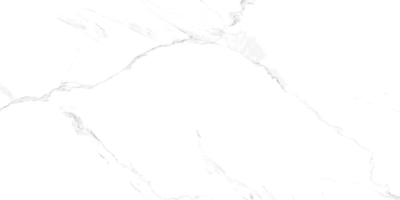 Płytki CARRARA BLANCO LAPPATO 60X120 G.1 - Opinie i ceny na Ceneo.pl