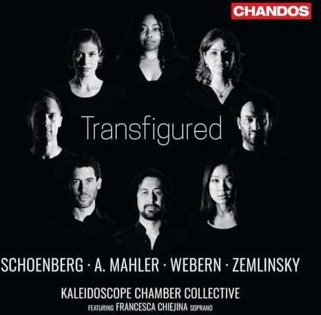 Płyta kompaktowa Kaleidoscope Chamber Coll: Transfigured [CD] - Ceny i ...