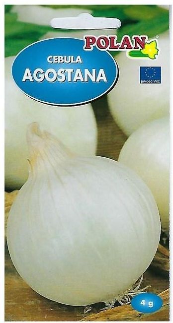 Polan Cebula Agostana 4g - Ceny i opinie - Ceneo.pl