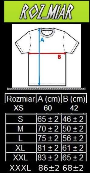Koszulka motocyklowa Chopper Rock Chang GR737 L - Ceny i opinie - Ceneo.pl