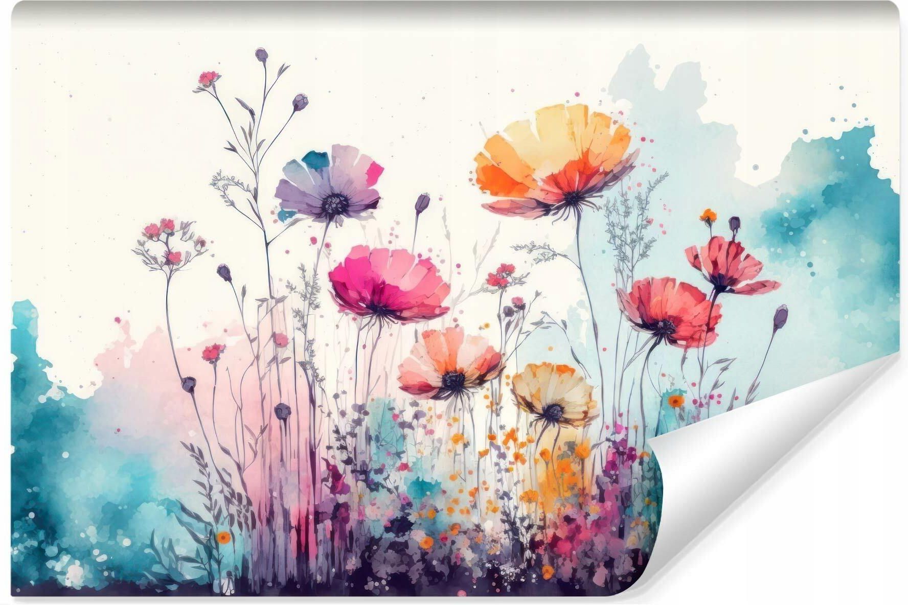 Muralo Fototapeta Polne Kwiaty Maki Akwarela Abstrakcja Natura 368X254 ...