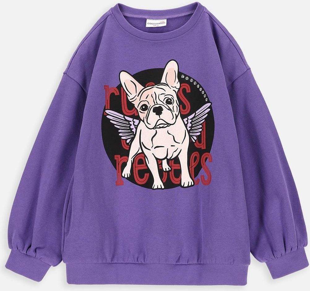 Bluza dla dziewczynki fioletowa 104 Coccodrillo - Ceny i opinie - Ceneo.pl