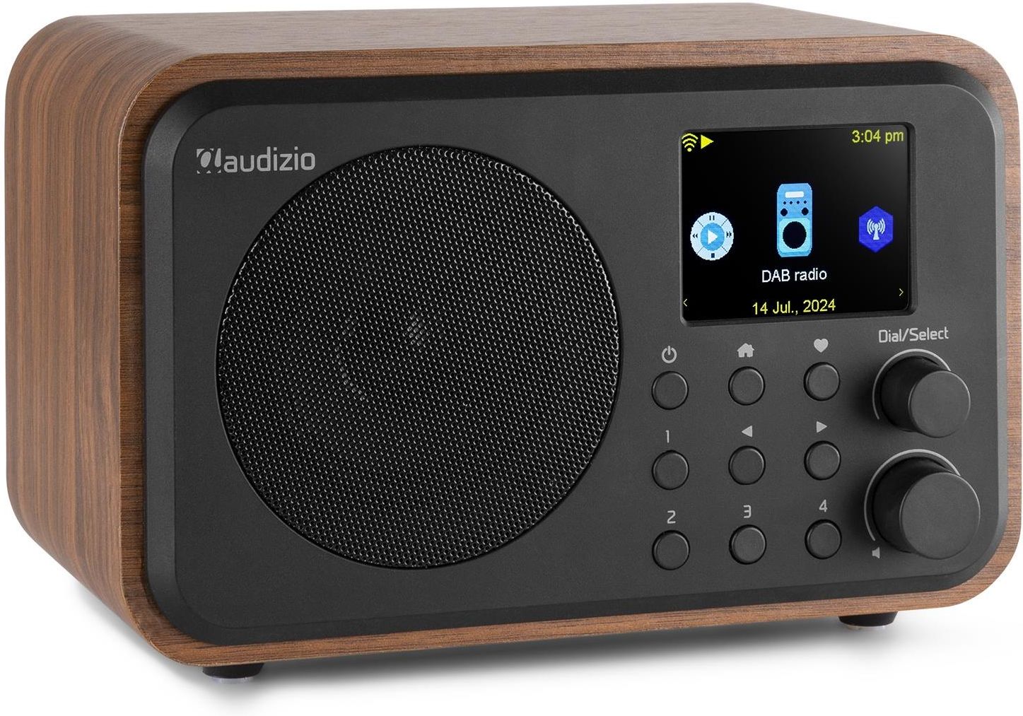 Radio Radio internetowe WIFI/DAB+/radio FM akumulator Vicenza Audizio ...