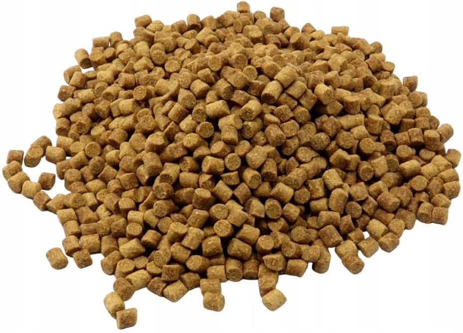 Skretting Coarse Fish 6Mm 1Kg Pellet SKRCF6 - Ceny i opinie - Ceneo.pl