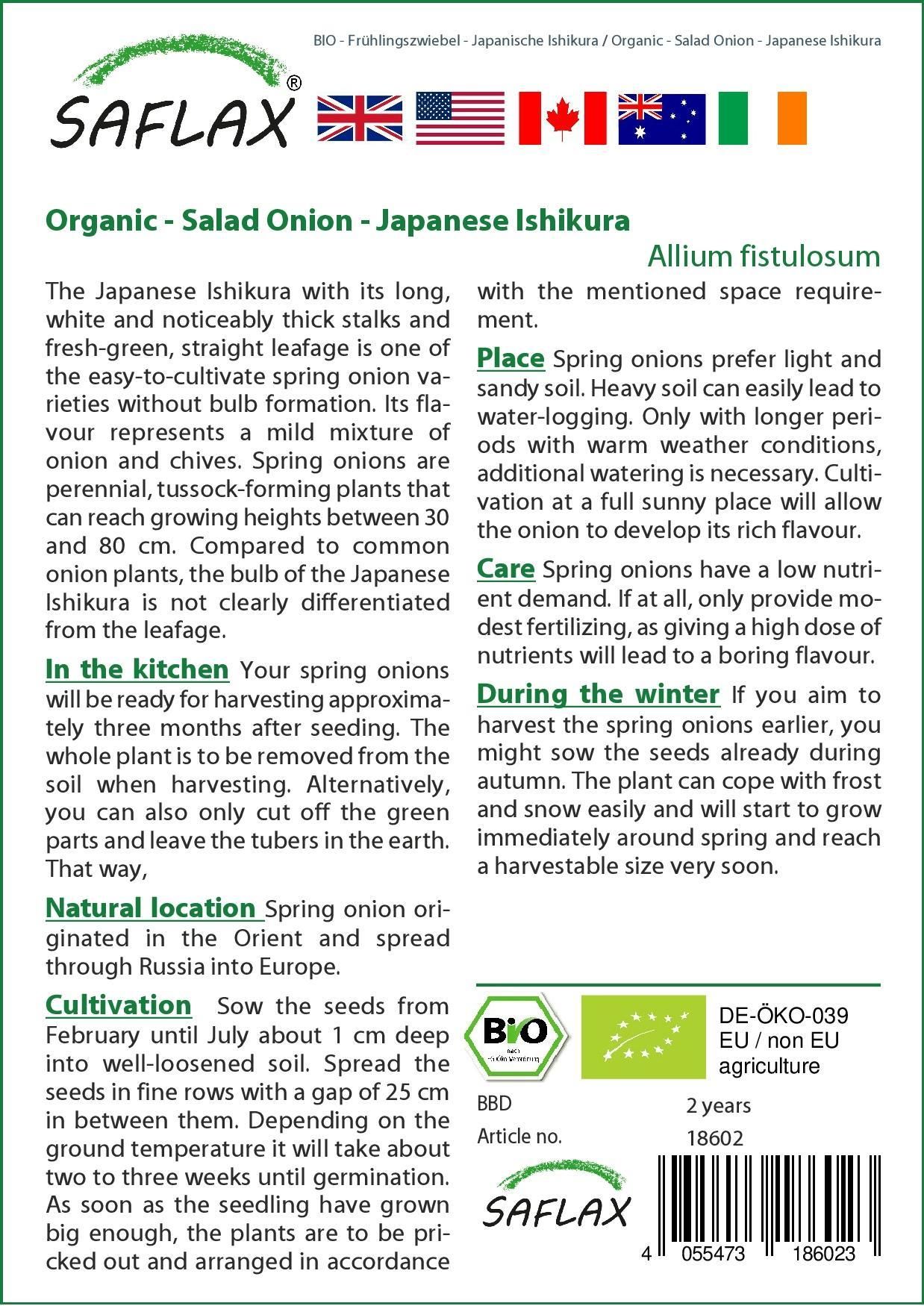 Saflax Zestaw Upominkowy Organic Cebula Sałatkowa Japanese Ishikura 150 ...