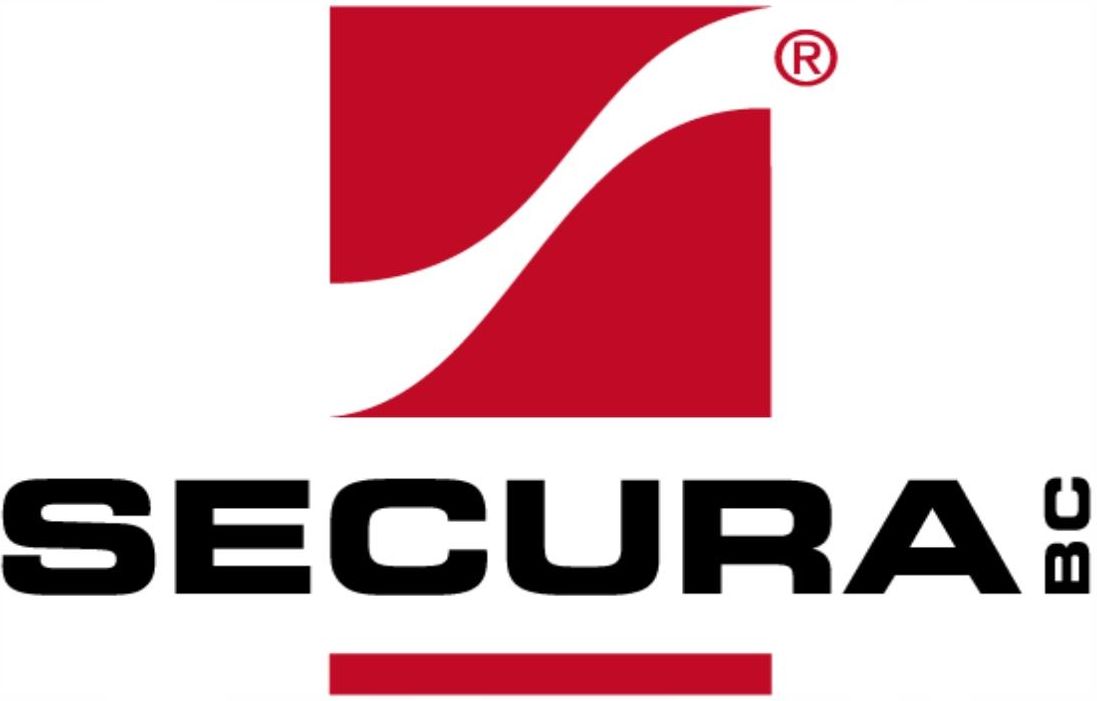 Secura Maska Zestaw 3000 Dust Przeciwpyłowa Pył P1 - Ceny i opinie ...