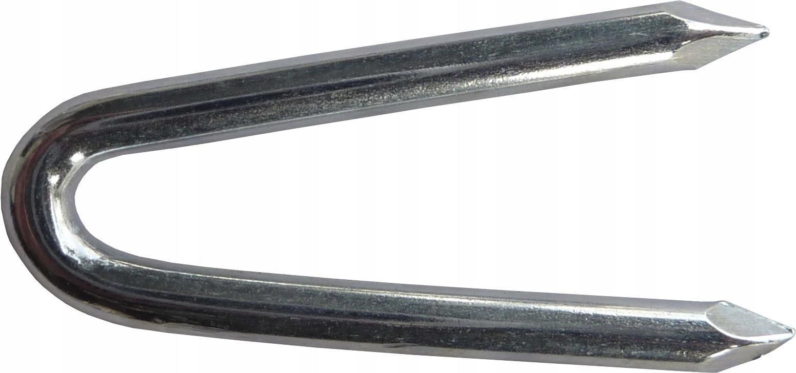 Prolex Gwoździe Skobel 30X30 Oc - Opinie i ceny na Ceneo.pl