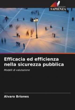 Efficacia ed efficienza nella sicurezza pubblica - Literatura ...