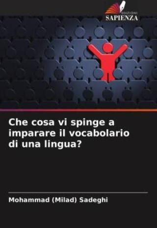 Che cosa vi spinge a imparare il vocabolario di una lingua ...