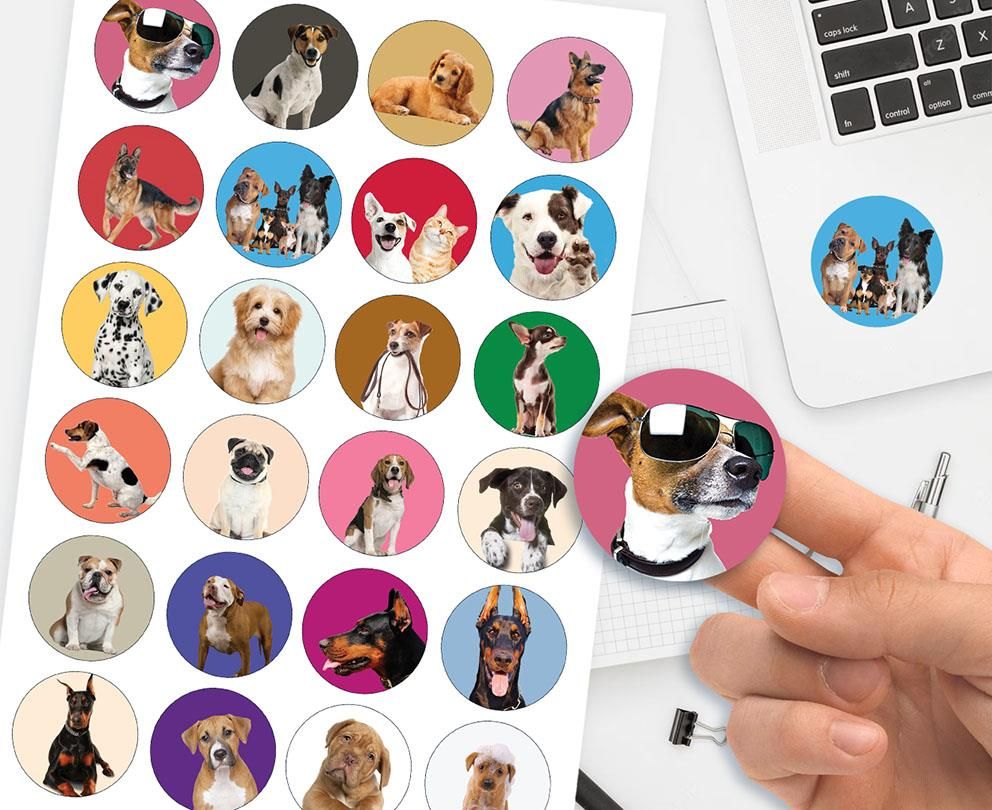 Zestaw Naklejki Tatuaże Psy Pieski - Ceny i opinie - Ceneo.pl