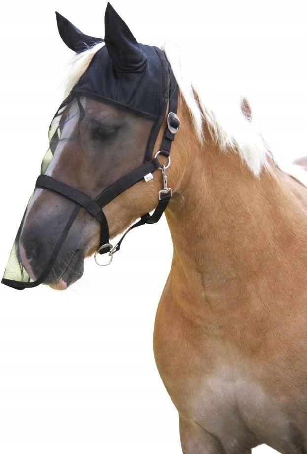 Kantar Dla Konia Z Maską Przeciwowadową, Czarny R - Ceny i opinie ...