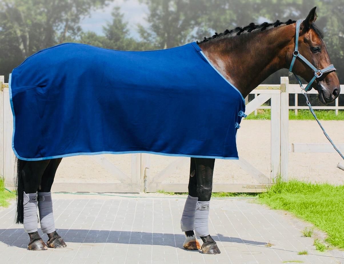 Derka Polarowa Osuszająca Granatowa Dla Konia 135 - Ceny i opinie ...