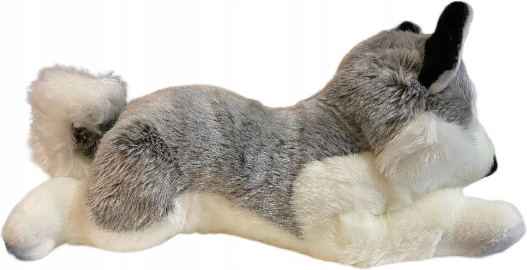 Dubi Pies Husky Leżący 50Cm Pluszaki - Ceny i opinie - Ceneo.pl