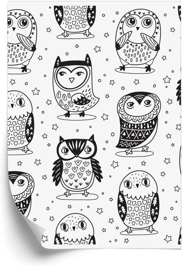 Fototapety.Pl Tapeta Czarne Rysowane Sowy 250X250Cm Magicstick - Opinie ...