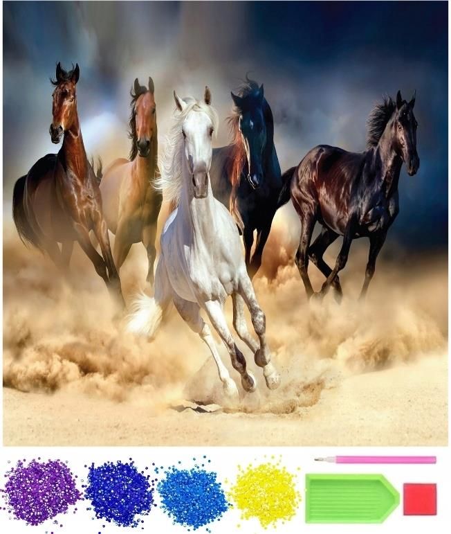 Haft Diamentowy Mozaika Diamentowa 5D Konie 1611946879 - Ceny i opinie - Ceneo.pl