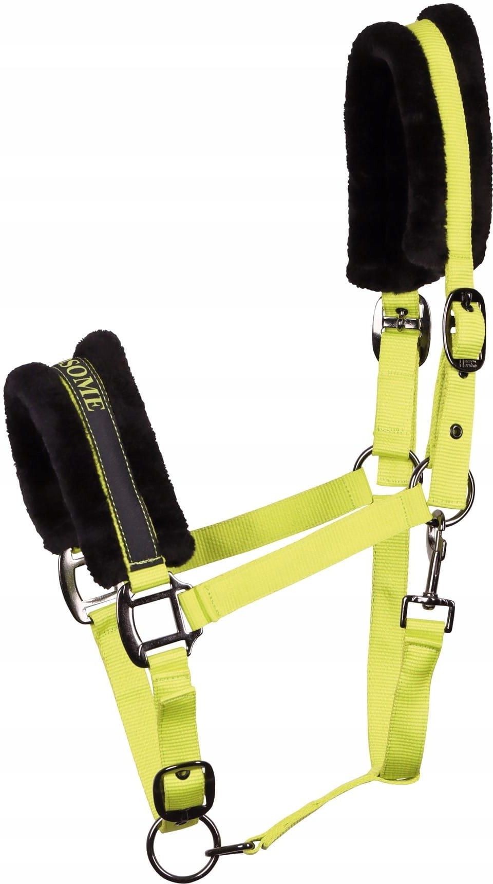 Harry'S Kantar Lyrics Lime Pony - Ceny i opinie - Ceneo.pl