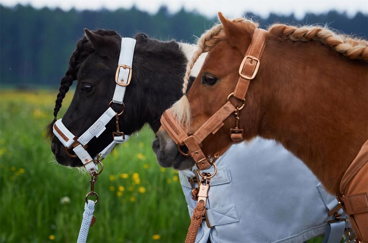 Eskadron Platinum Kantar Velvet Jewel Cognac R:Cob - Ceny i opinie ...