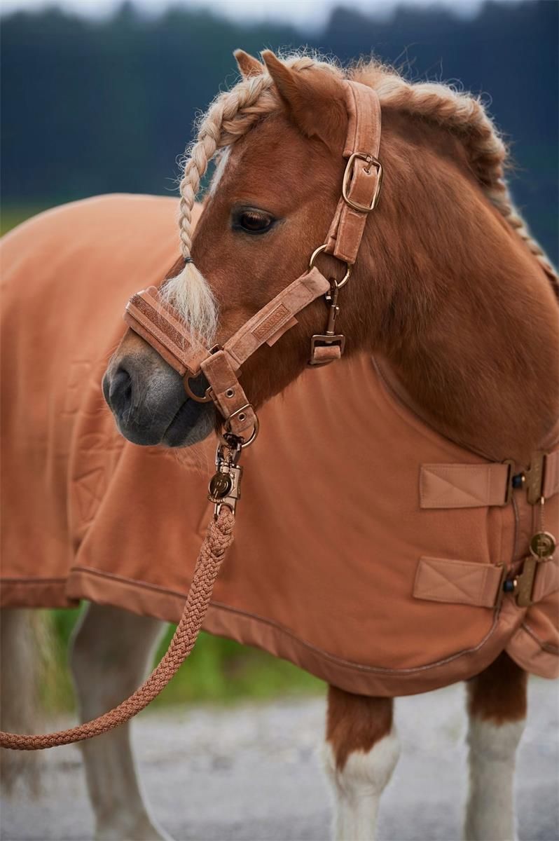 Eskadron Platinum Kantar Velvet Jewel Cognac R:Cob - Ceny i opinie ...