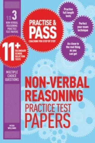 Practise & Pass 11+ Level Three: Non-verbal Reasoning Practice Test ...
