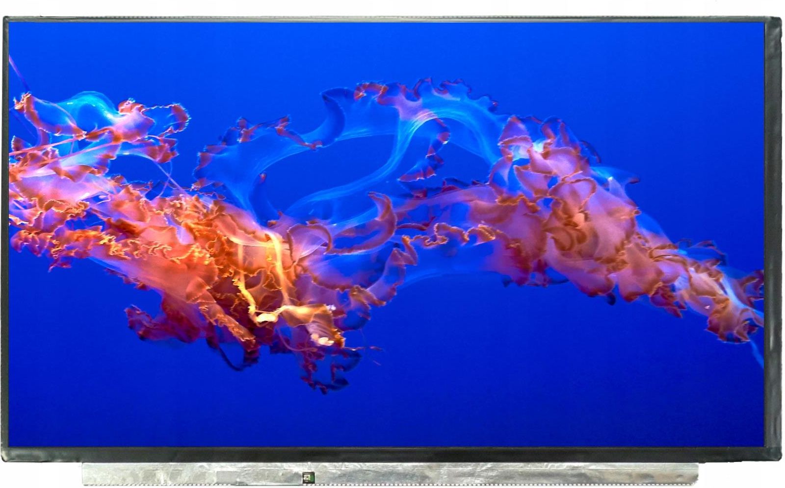 Podzespoły do laptopa Elgar Matryca LCD B140HTN02.1 14,0 Slim 30PIN eDP ...