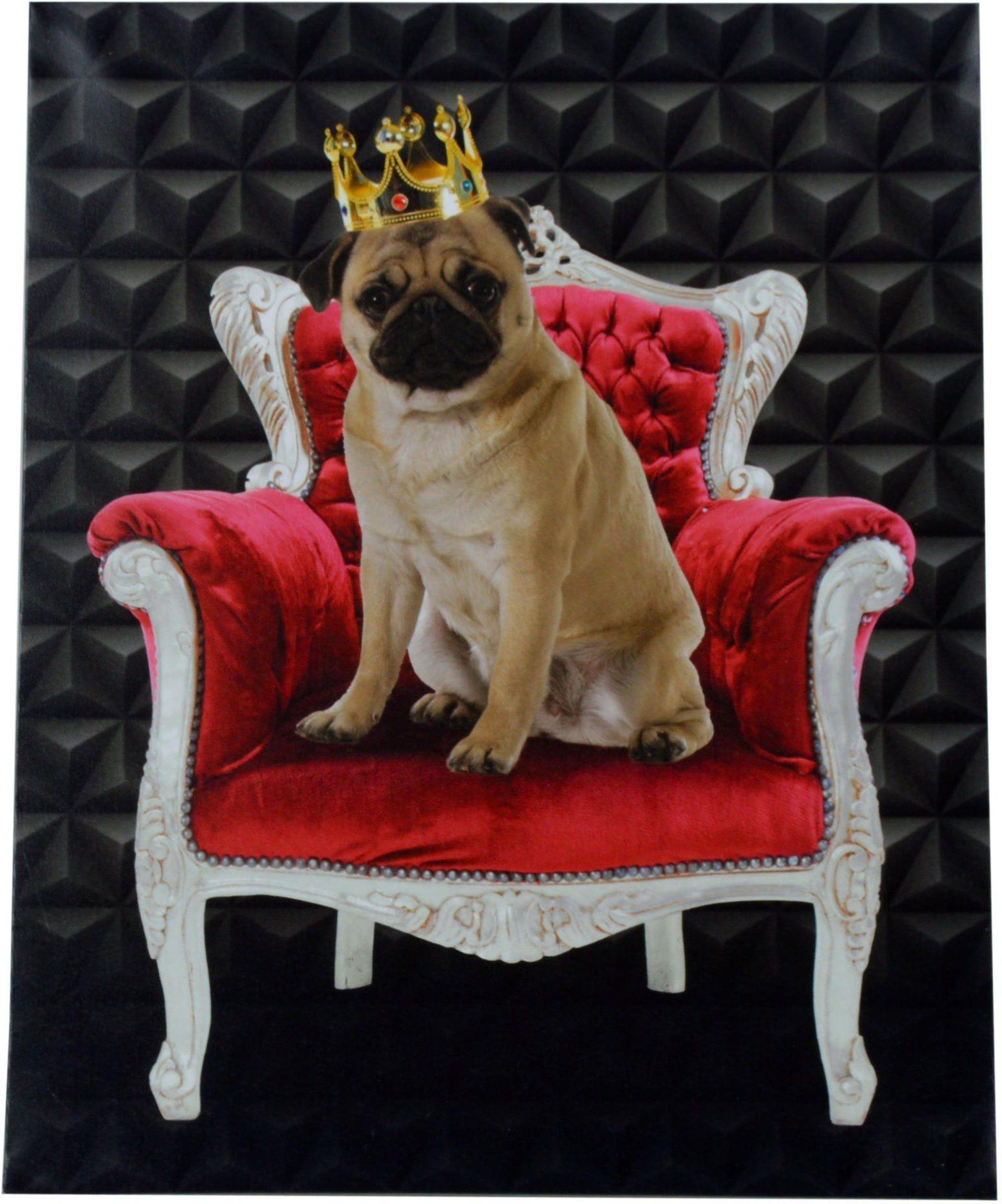 Mark Obraz Mops Na Fotelu 40X50 Cm 61628118 - Opinie i atrakcyjne ceny ...