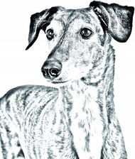 Chart Arabski Płytka Ceramiczna Pamiątka - Ceny i opinie - Ceneo.pl