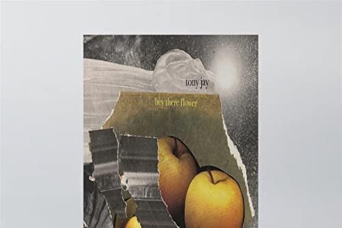 Płyta winylowa Tony Jay - Hey There Flower (Winyl) - Ceny i opinie ...