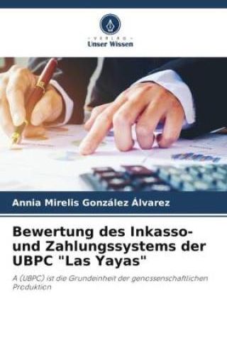 Bewertung des Inkasso- und Zahlungssystems der UBPC "Las Yayas ...