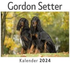 Gordon Setter (Wandkalender 2024, Kalender DIN A4 quer, Monatskalender ...