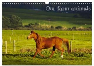 Our farm animals (Wall Calendar 2024 DIN A3 landscape), CALVENDO 12 ...