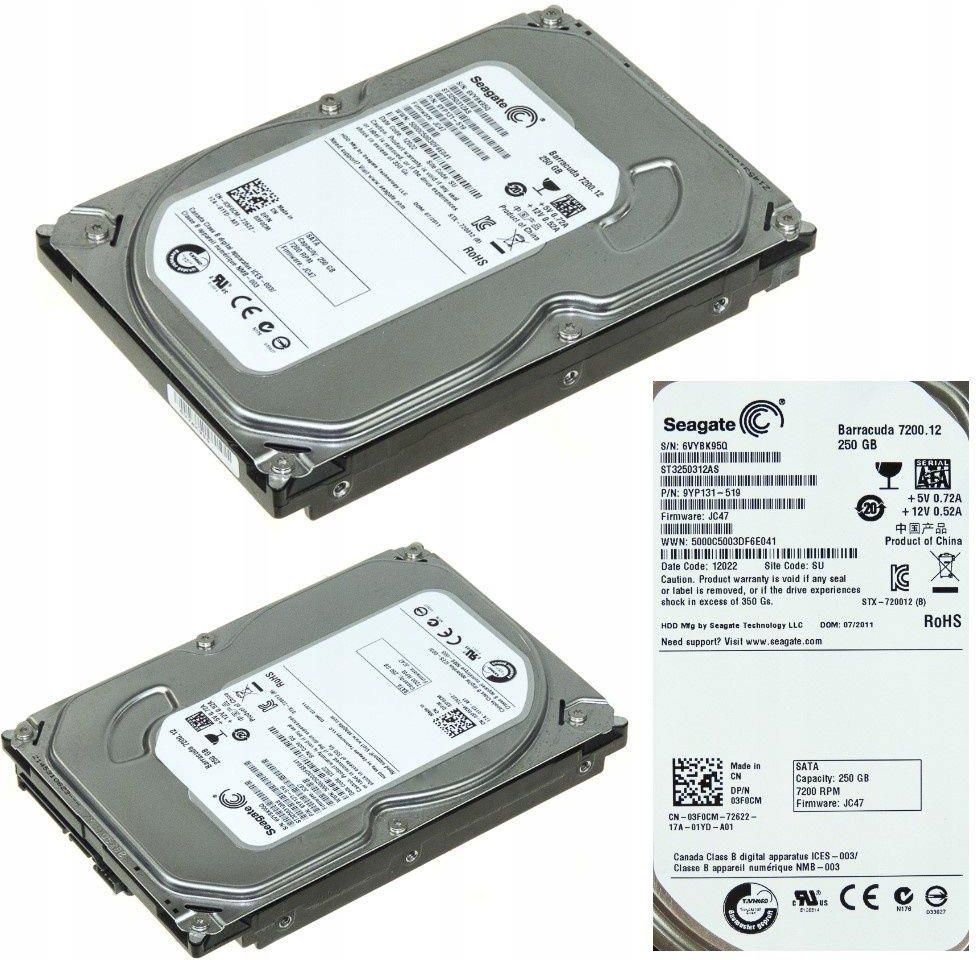 Dysk serwerowy Dell 250GB 7.2K Sata 3.5'' ST3250312AS (03F0CM) - Opinie i ceny na Ceneo.pl
