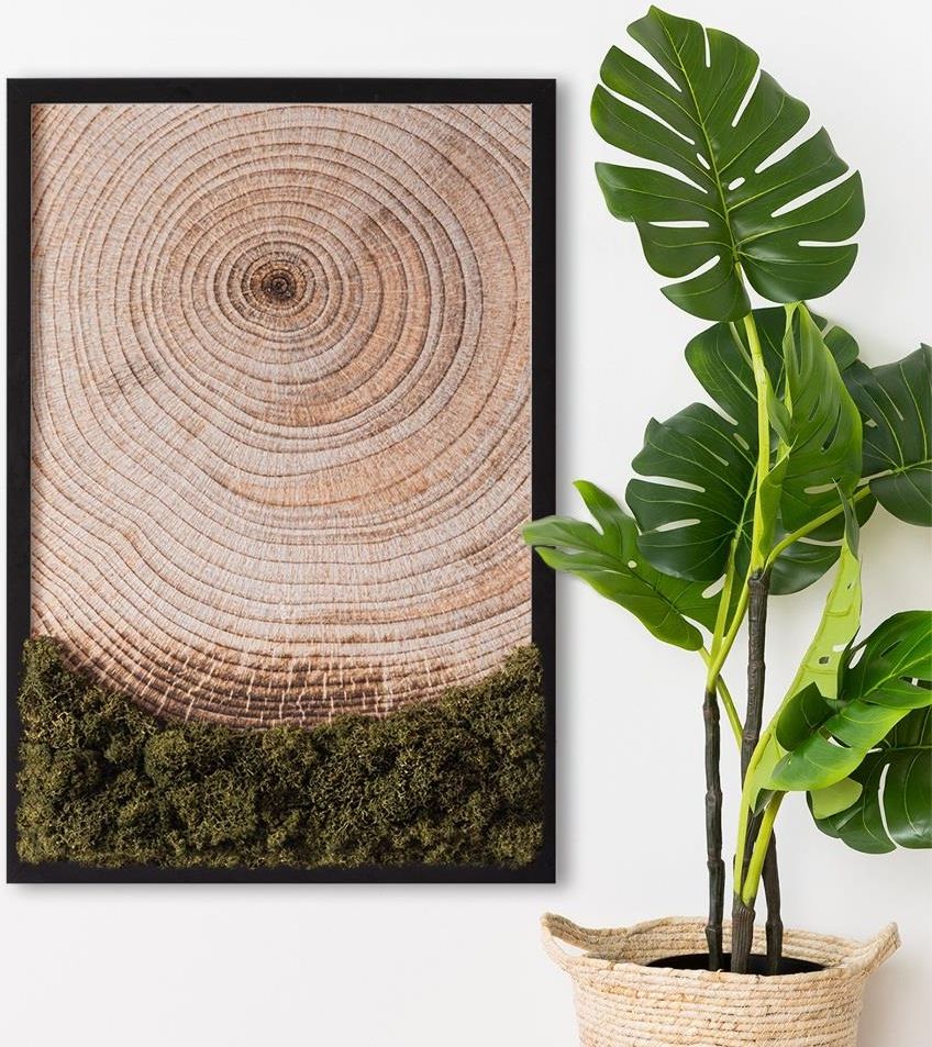 Vintageposteria.Pl Mech Chrobotek Obraz Słoje Drewna - Opinie i ...