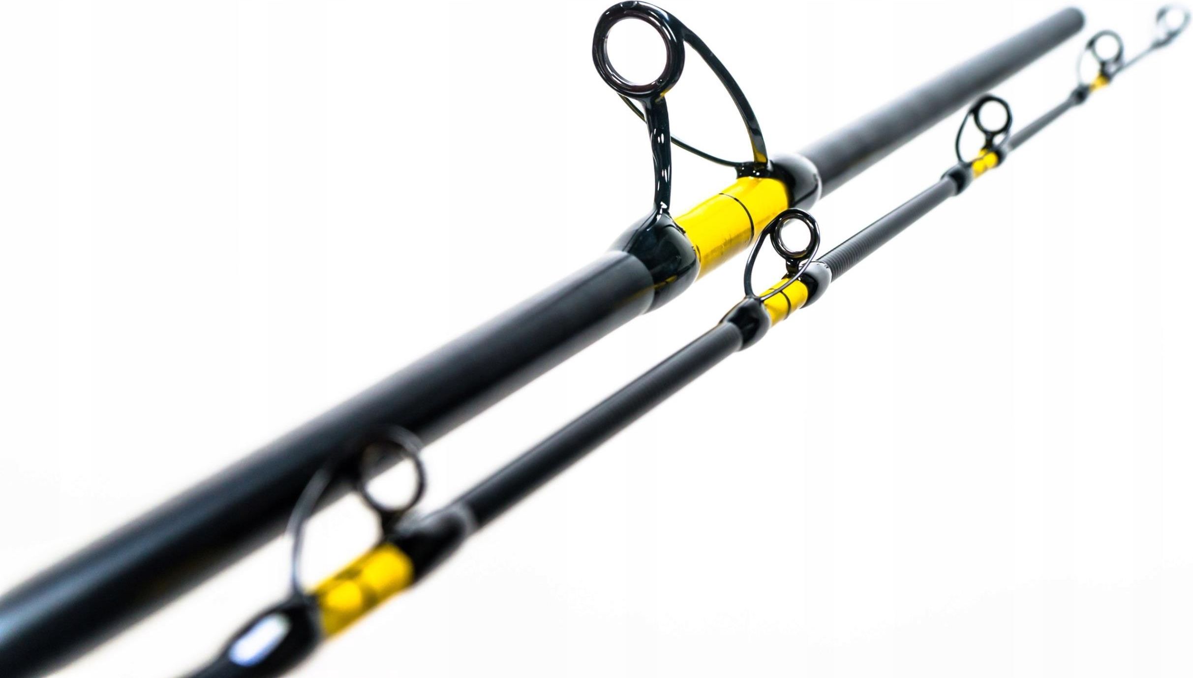 Fl Wędka Sumowa 2,70 M Cat Fish 300 600 Gram Na Suma PAS270 - Ceny i ...