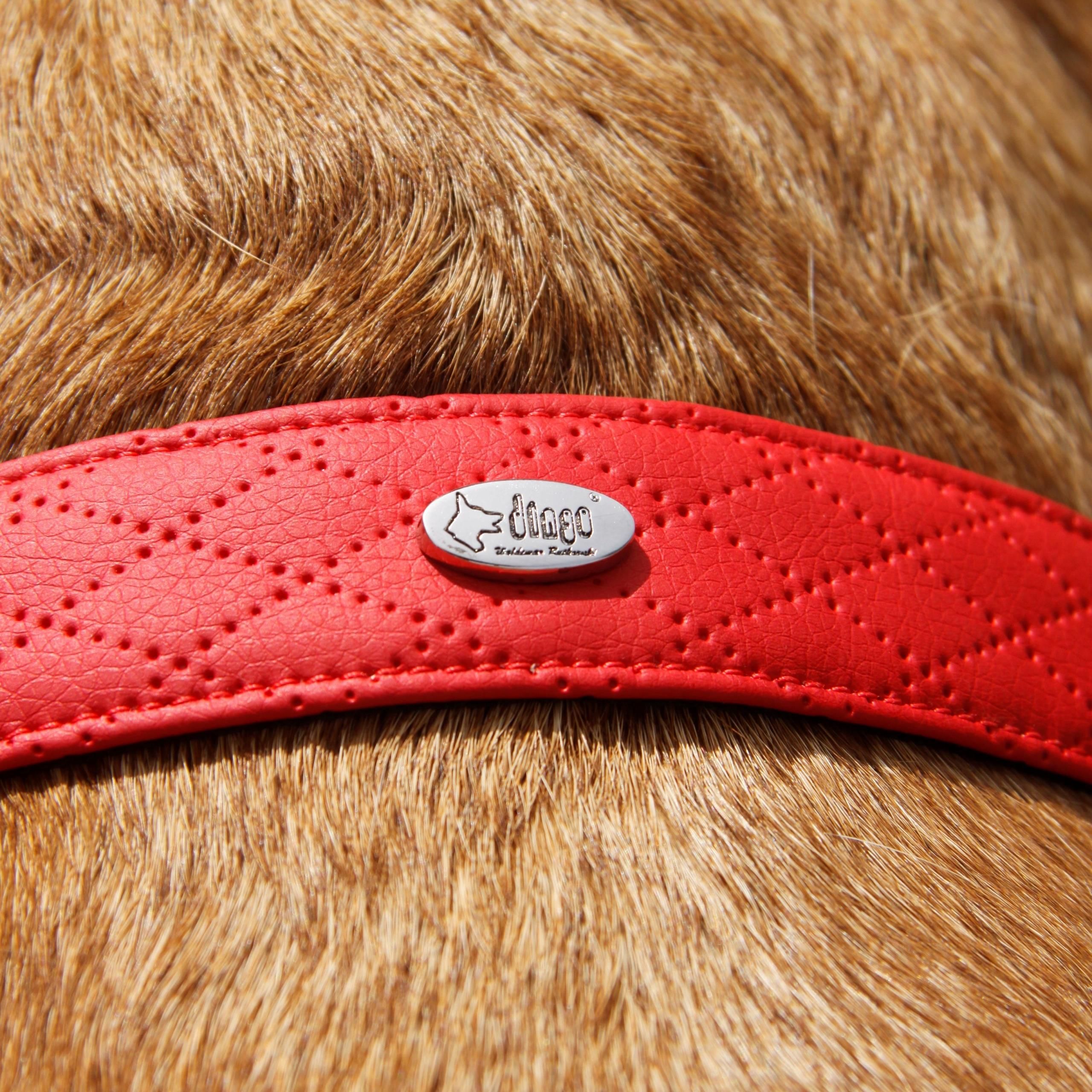 Dingo Obroża Wegańska Terra Fire Z Klamrą L 14259 - Ceny i opinie ...