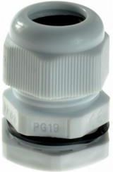 Inq Dławnica Pg-19 Fi 12-15 Dpg19 - Opinie i ceny na Ceneo.pl