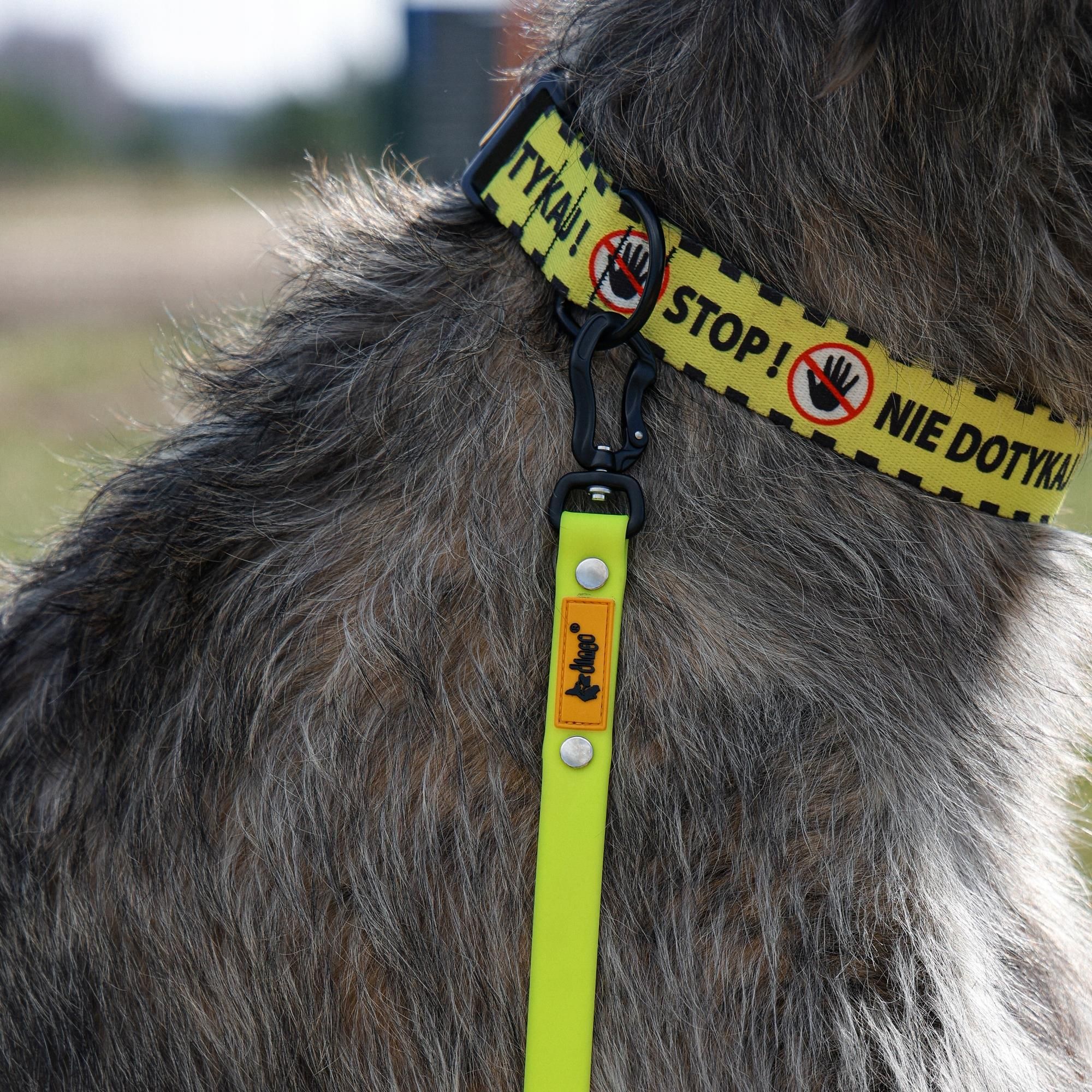 Dingo Smycz Treningowa Flex 1,6X5M Żółta Z Rączką - Ceny i opinie ...