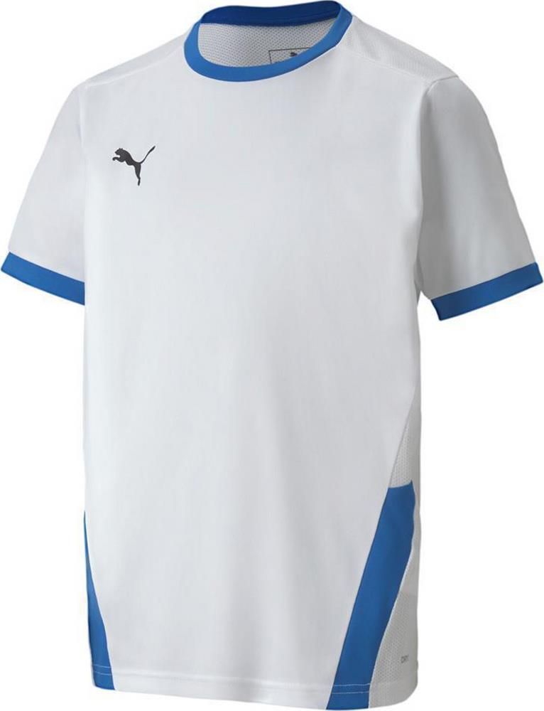 Koszulka Dla Dzieci Puma Teamgoal 23 Jersey Biało-Niebieska 704160 12 ...