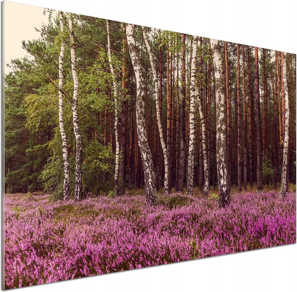 Tulup Panel Dekor Szkło Wrzosowisko 100x70cm Klej - opinie i ceny na ...