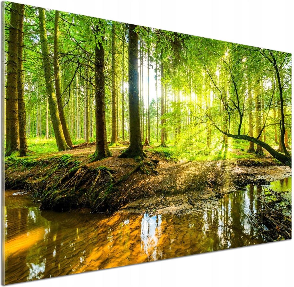 Tulup Panel Do Kuchni Sadzawka W Lesie 100x70cm Klej - opinie i ceny na ...