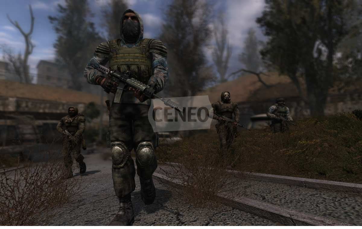 S.T.A.L.K.E.R / STALKER Czyste Niebo (Gra PC) - Ceneo.pl