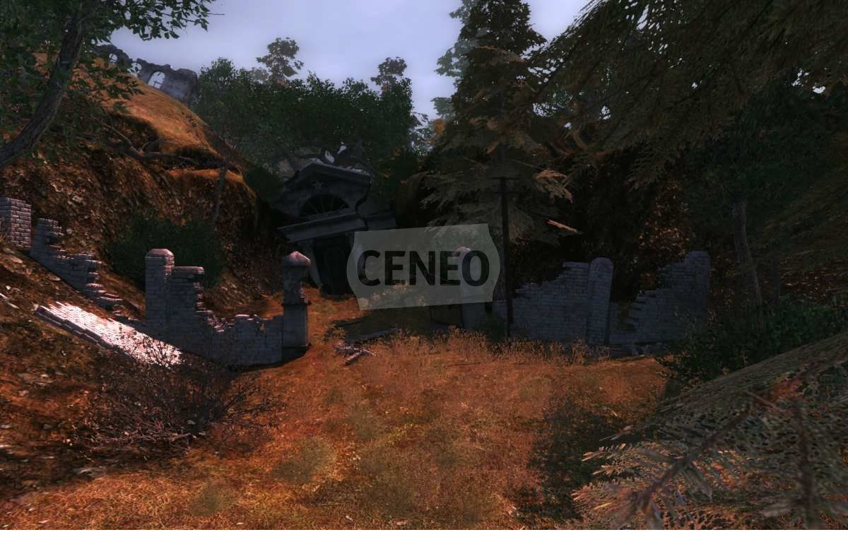 S.T.A.L.K.E.R / STALKER Czyste Niebo (Gra PC) - Ceneo.pl