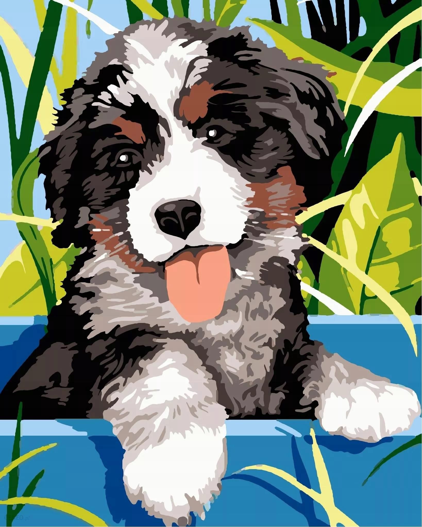 Malowanie po Numerach Pies Obraz z Ramą - Ceny i opinie - Ceneo.pl