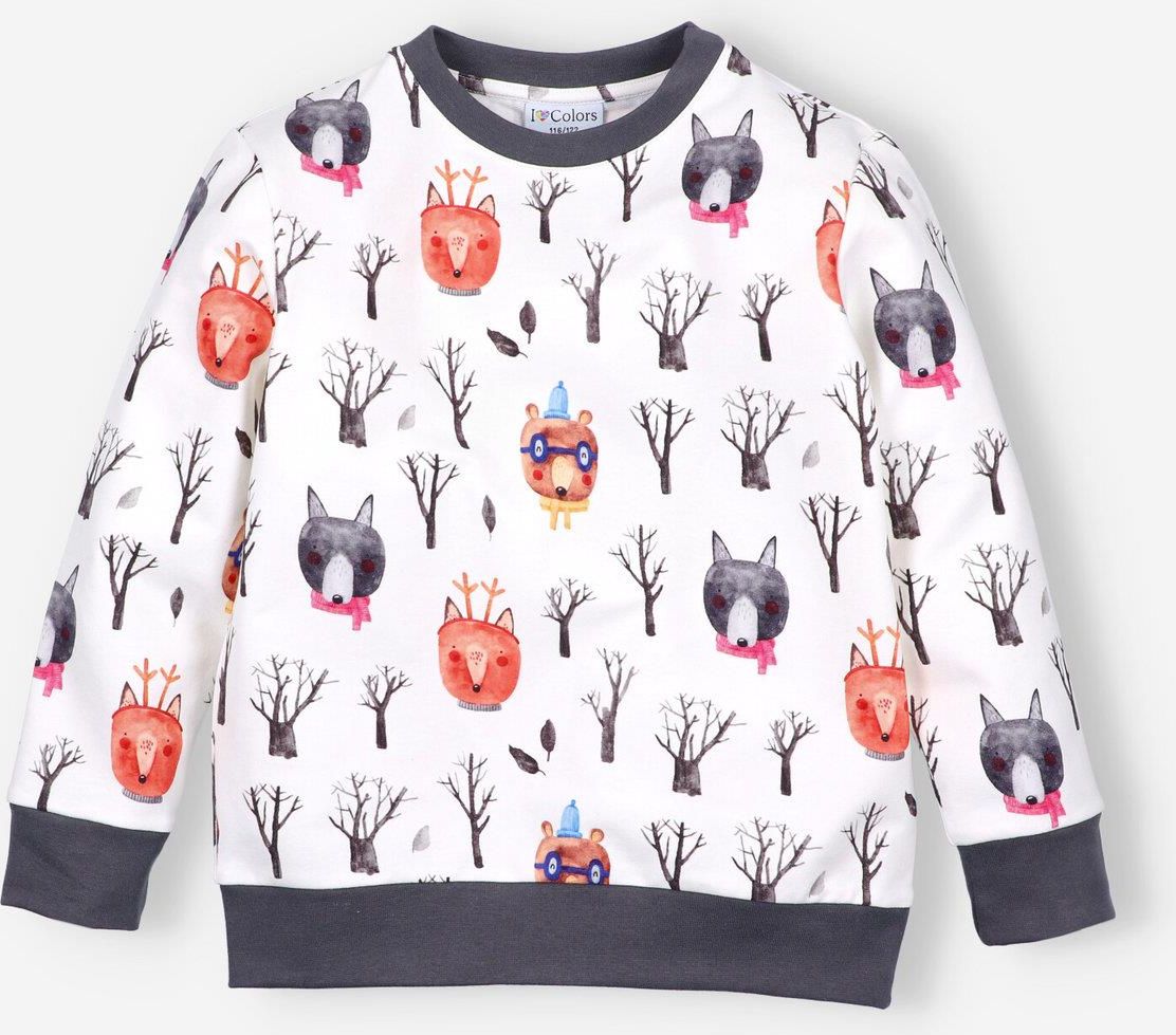 Bluza dresowa-116/122 - Ceny i opinie - Ceneo.pl