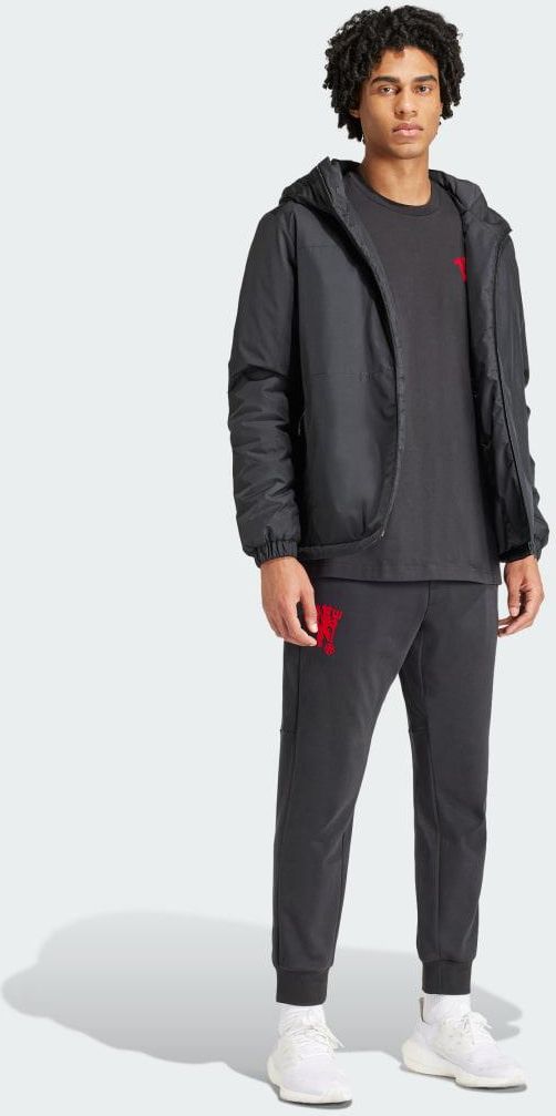 Adidas Koszulka Manchester United Cultural Story IP9185 - Ceny i opinie ...